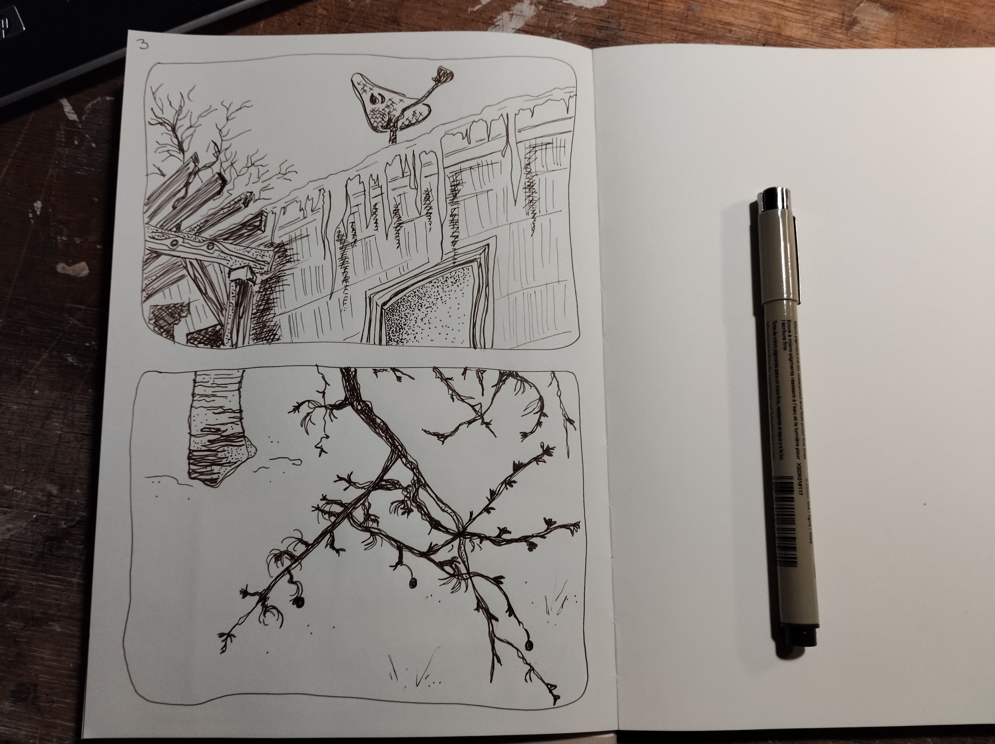 not a prodigy – adventures