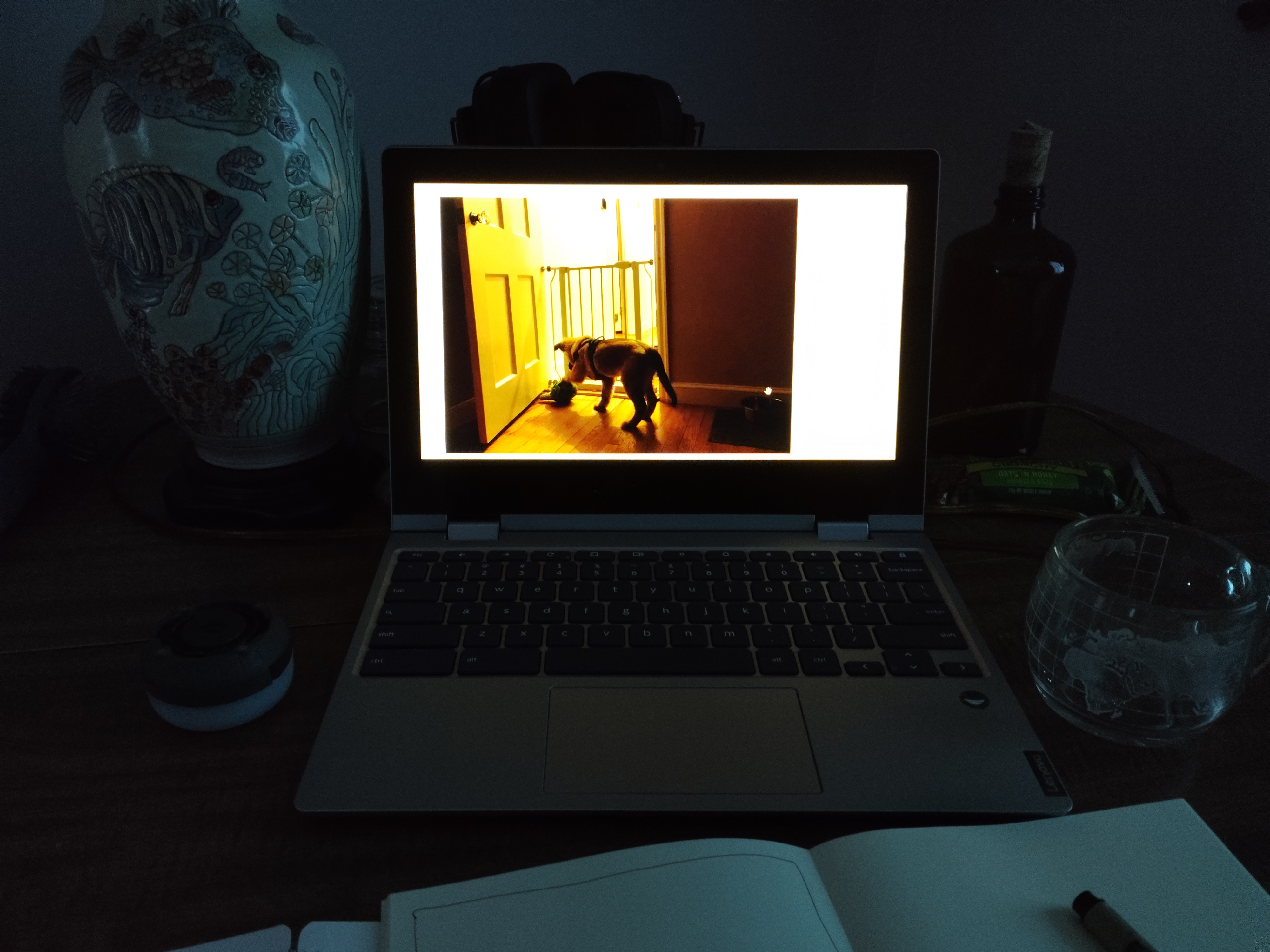 best friend in training – adventures