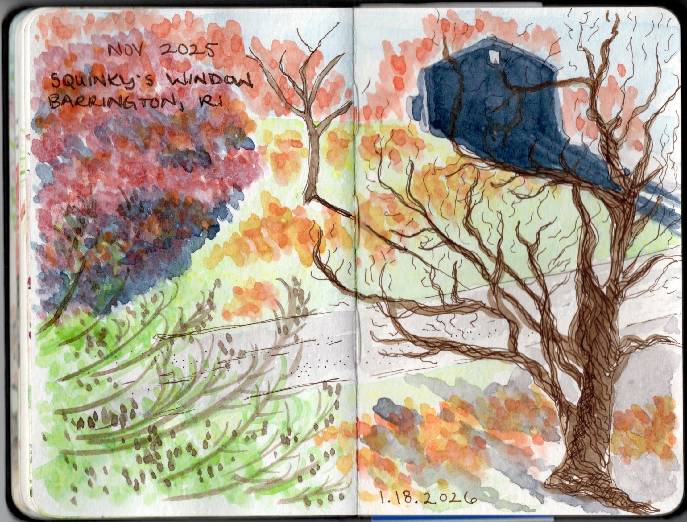 squinky’s window – adventures